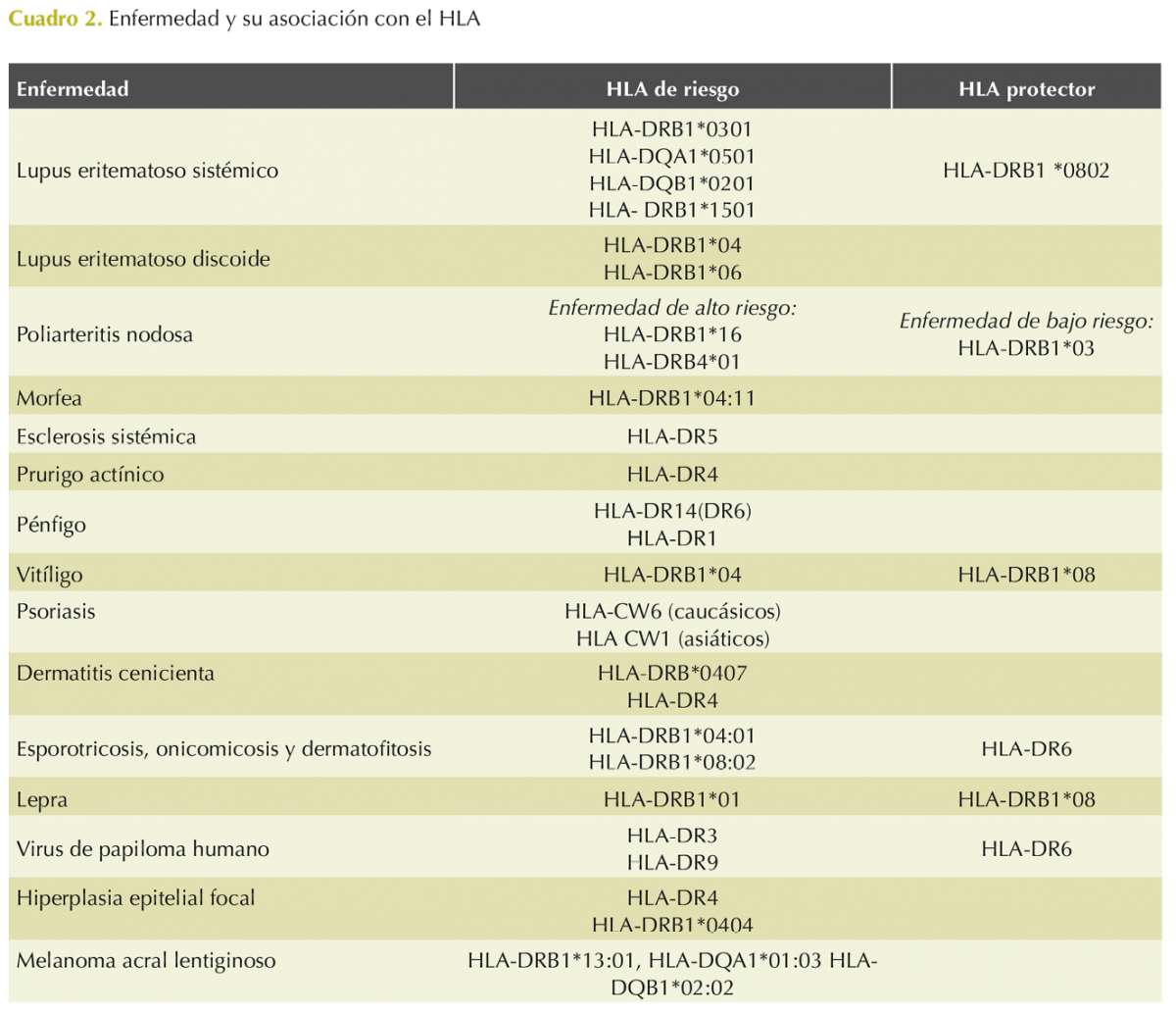 HLA en la dermatología mexicana – Dermatología Revista mexicana