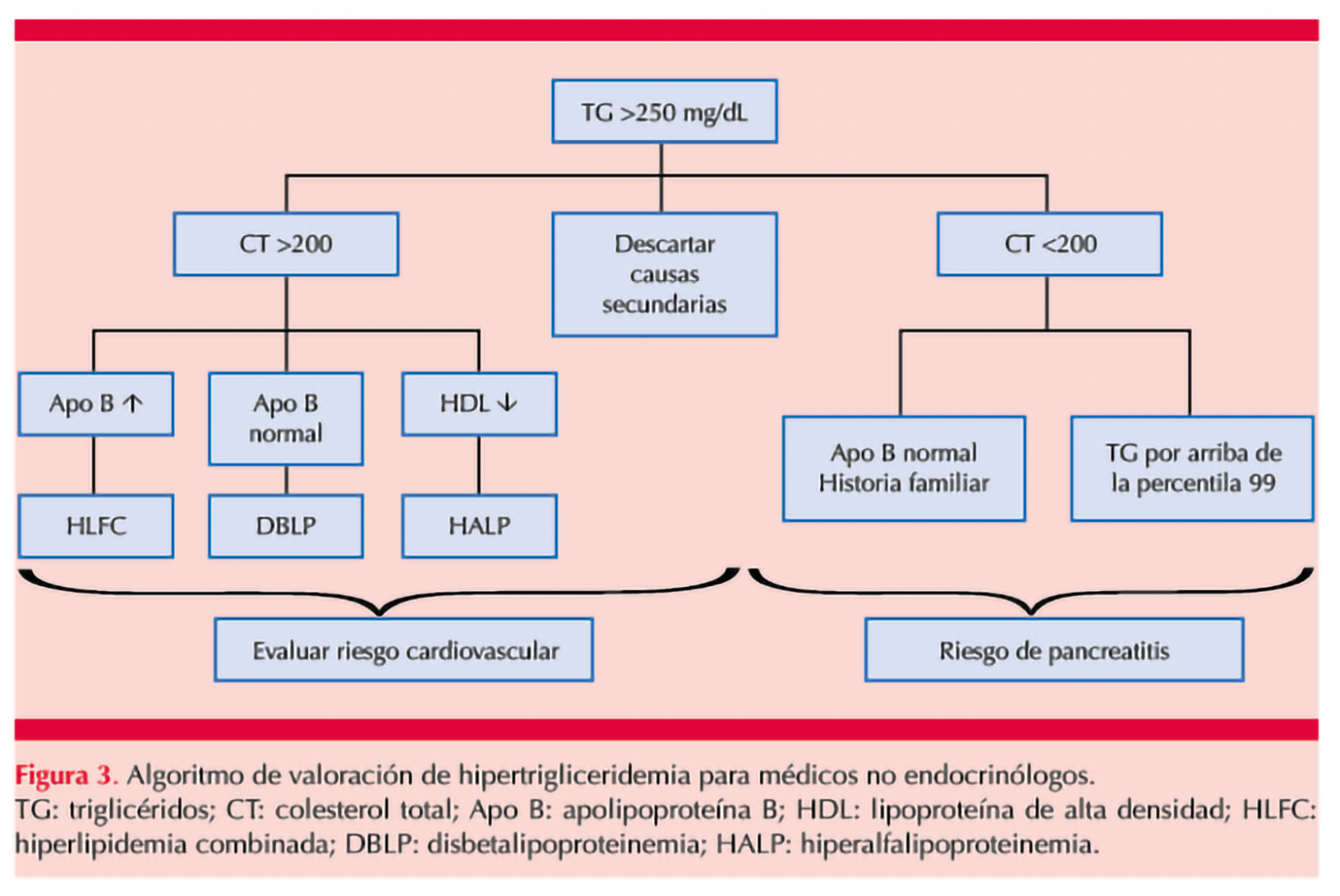 Xantoma eruptivo: ¿cómo hacer el abordaje de hipertrigliceridemia por ...